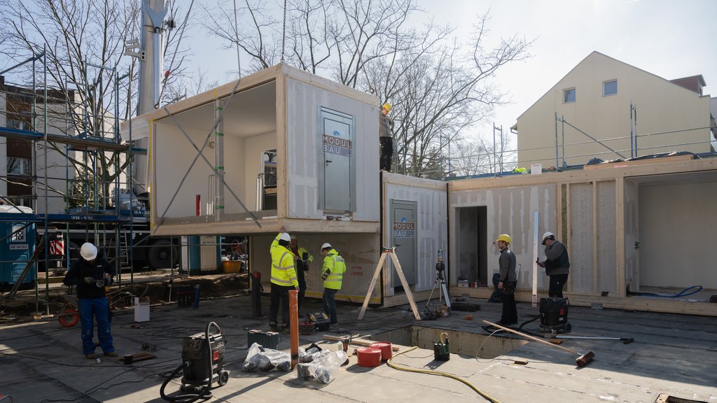 NOW, NEAR, NEXT, Residential Modular Timber Construction