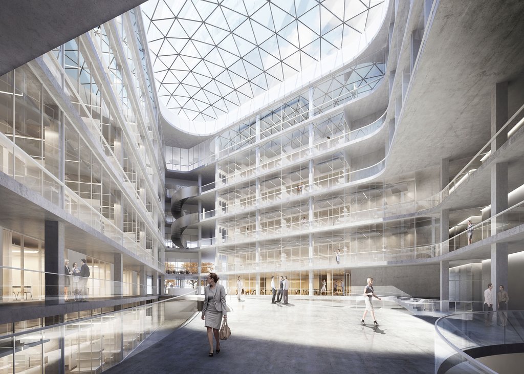 NOW, NEAR, NEXT, Connecting Science