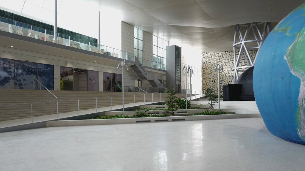 NOW, NEAR, NEXT, King Salman Science Oasis, Saudi Arabia